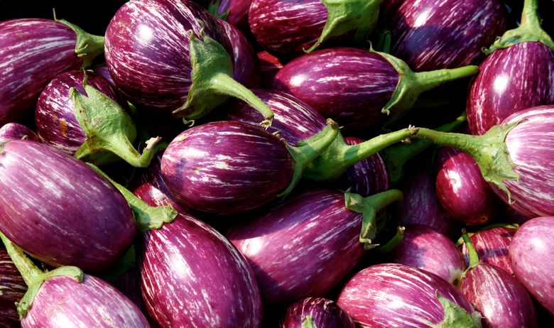 Dom i dizajn - ŠEST JEDNOSTAVNIH KORAKA: Evo kako uzgojiti patlidžan u ...