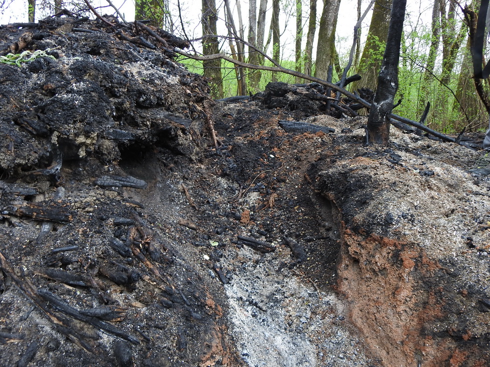 Jutarnji list - DABROVI IZ ZAPALJENE NASTAMBE U LONJSKOM POLJU SU ŽIVI ...