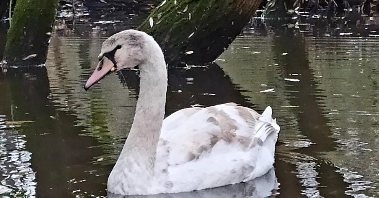 Jutarnji list - Dva dana mu pokušavaju pomoći, ali on uporno odbija ...