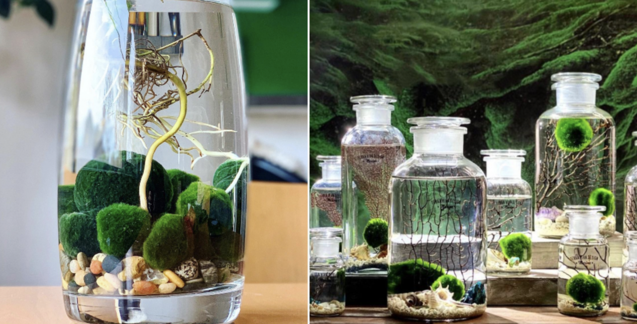 Dom i dizajn - Preslatke i romantične Marimo kuglice jednostavno morate ...