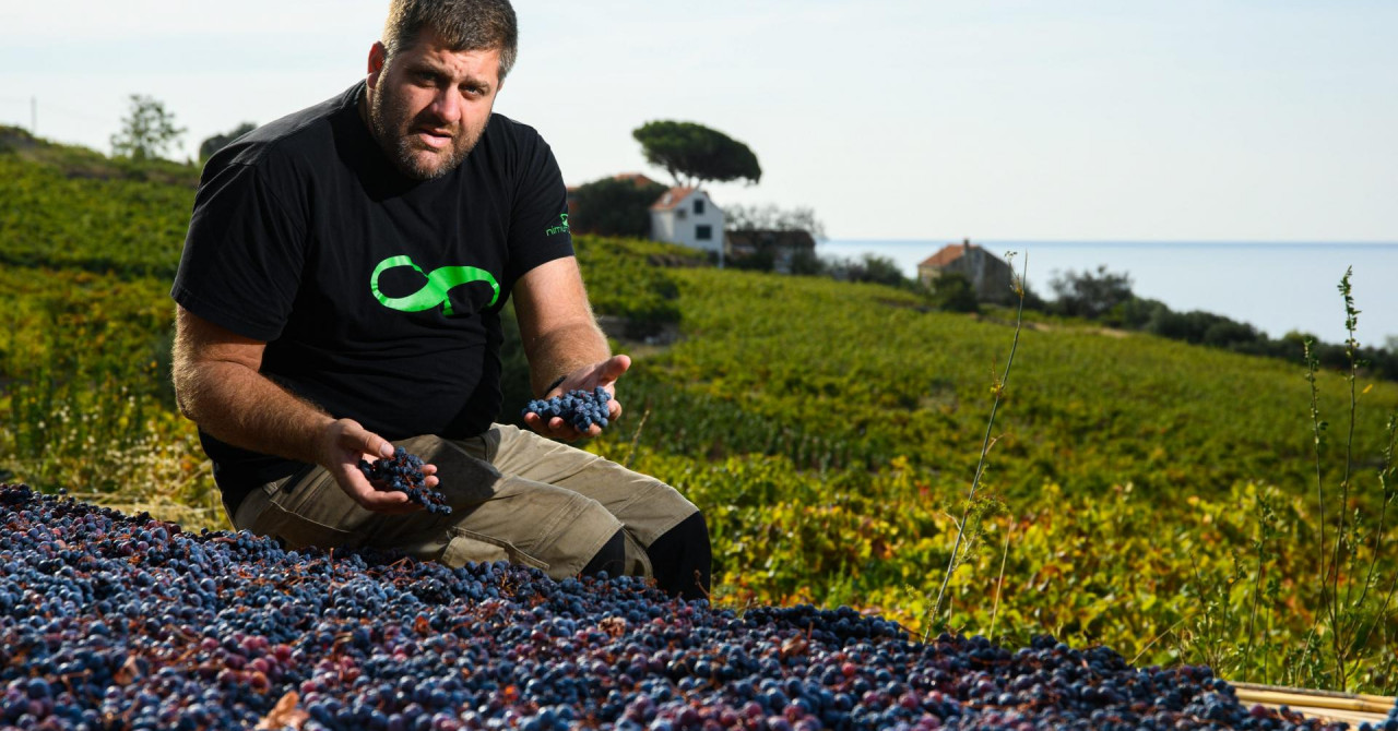 Jutarnji list - Talijani predvode vinski rat: ‘Nemamo ništa protiv ...