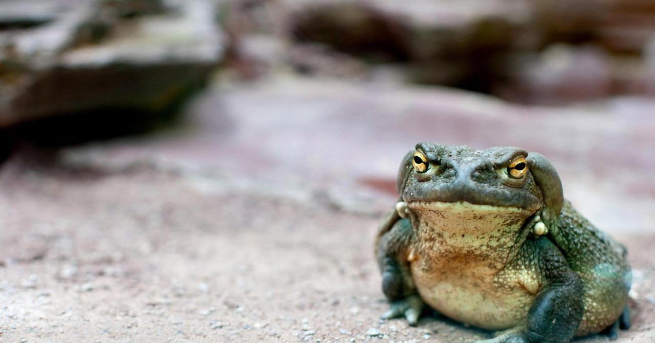 Jutarnji list - Vodstvo nacionalnih parkova upozorilo posjetitelje ...