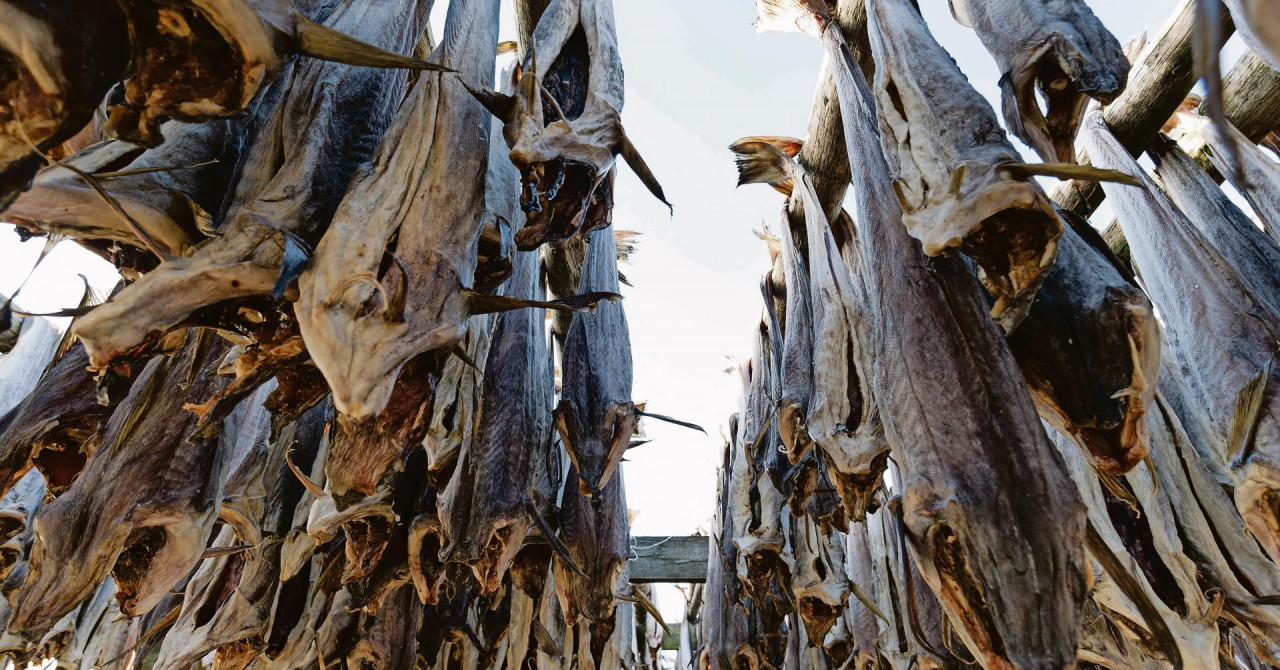 Jutarnji list - Riba skuplja 30 posto, sušeni bakalar skočio na 330 ...