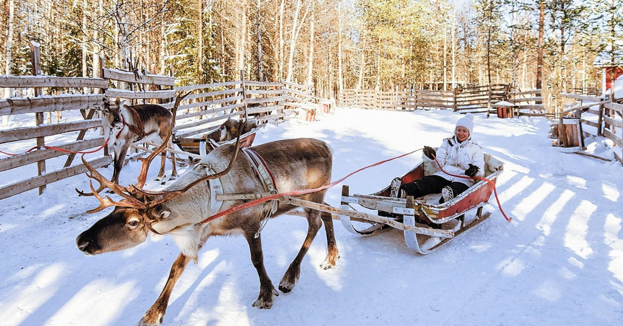 Jutarnji list - Ako naručite taksi, stižu saonice sa sobovima... Riječ ...