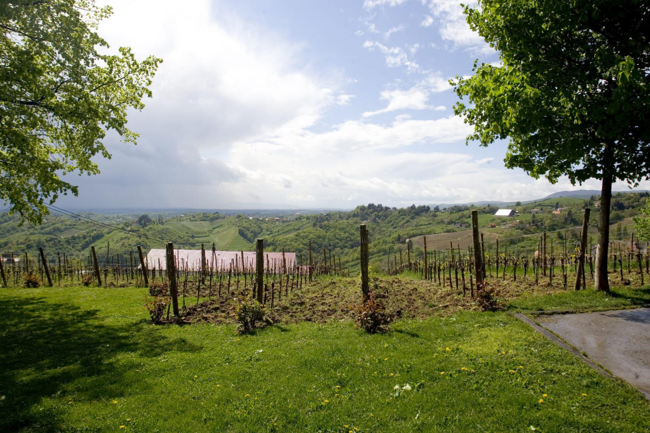 Dobra Hrana - Enolog poznate plešivičke vinarije objasnio sve o ...