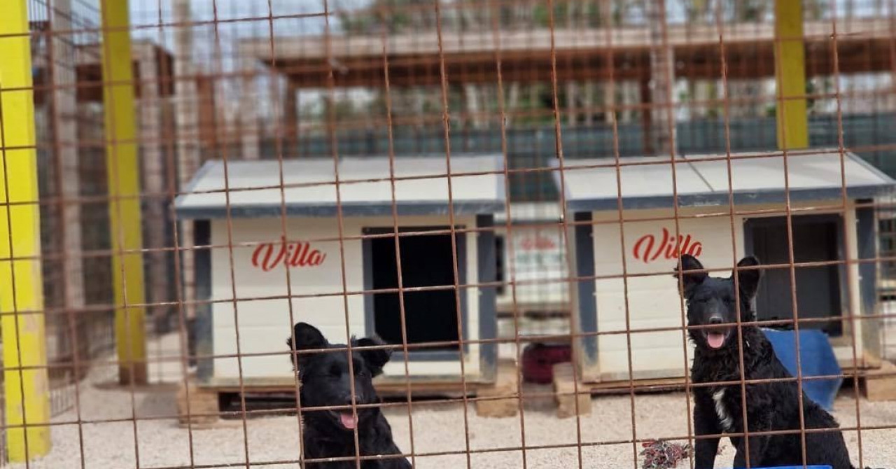 Jutarnji list - Evo kako izgleda ilegalni azil u Dalmaciji: Volonteri ...