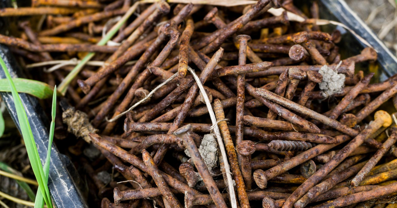 Dom i dizajn - Mogu li doista zahrđali čavli pomoći biljkama za bolji i ...