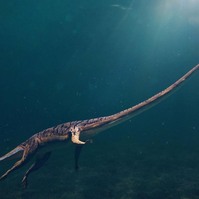 Jutarnji list - Tko je ubio Tanystropheus hydroidesa na planini Sao ...