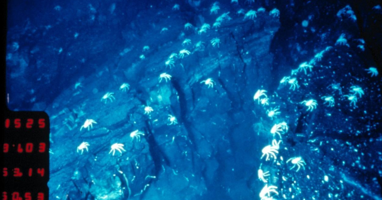 Jutarnji list - Znanstvenici otkrili posve novi svijet: 'Moramo hitno ...