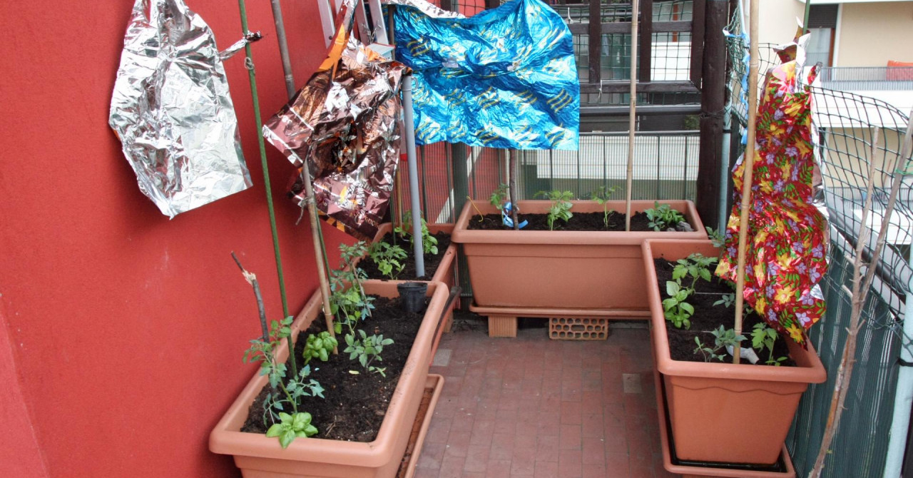 Dom i dizajn - Zaštitite svoje biljke i ubrzajte njihov rast uz pomoć proizvoda koji ima svaka ...