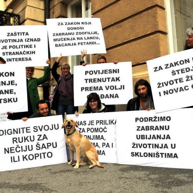 Jutarnji list - Najpoznatija domaća udruga za zaštitu životinja slavi ... Jutarnji list - Najpoznatija domaća udruga za zaštitu životinja slavi ...