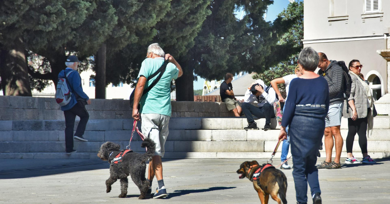 Jutarnji list - Bacili ste petardu na psa, pustili ga da trči sam, dali ... Jutarnji list - Bacili ste petardu na psa, pustili ga da trči sam, dali ...