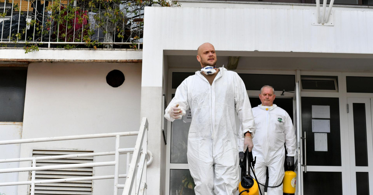 Jutarnji list - Stjenice su stigle u Split: Razmnožile su se u zgradi s 82 stana, sve je krenulo ...