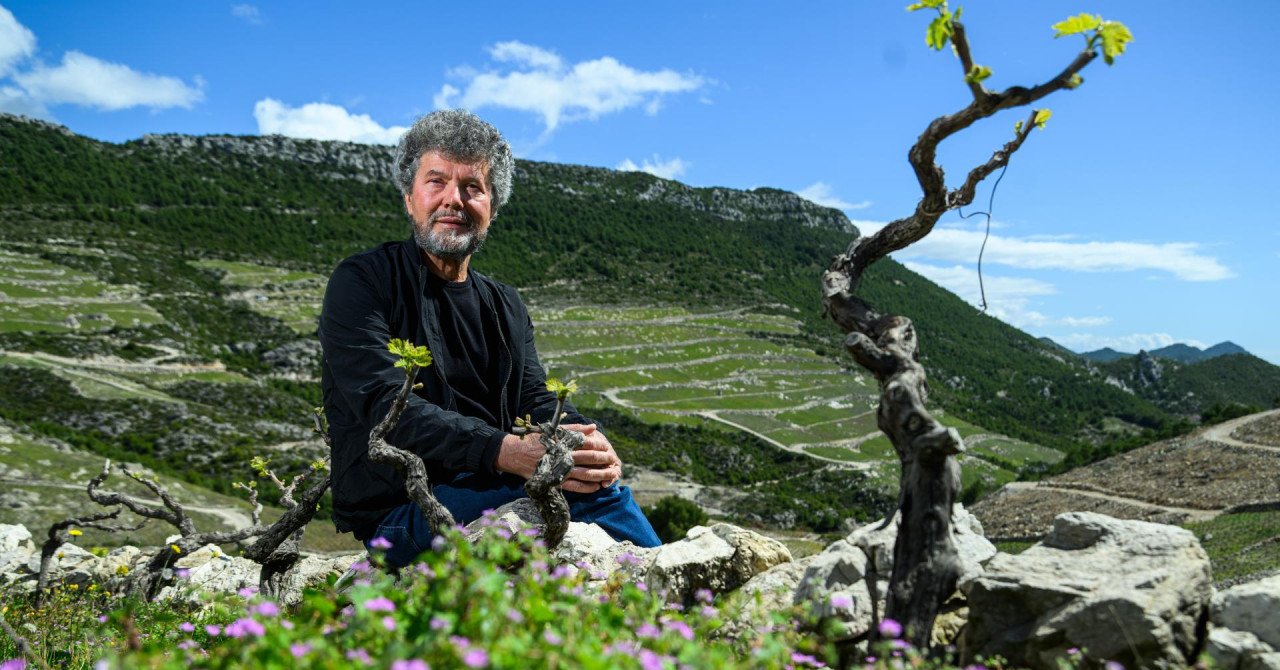 Dobra Hrana - Frano Miloš (Vinarija Miloš): Posvećenost plavcu malom ...