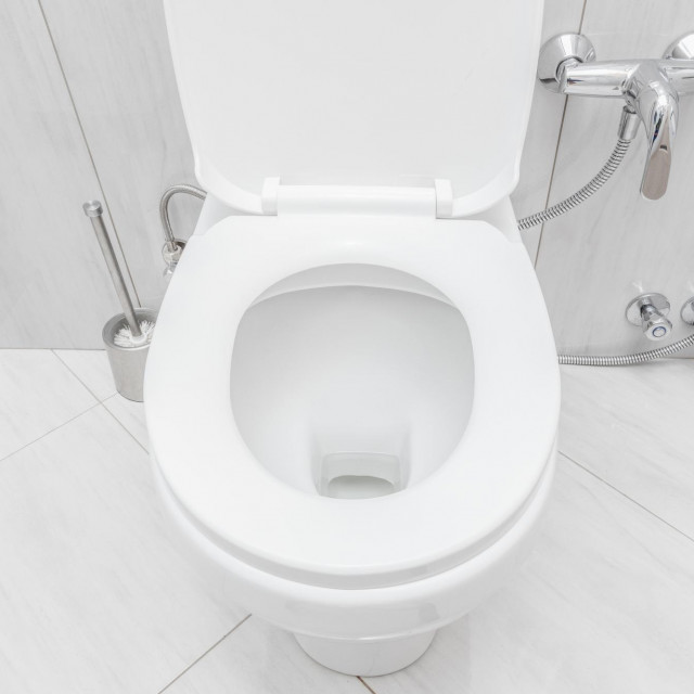 Dom i dizajn - U WC školjku ubacite ove tri tablete i gledajte kako ...