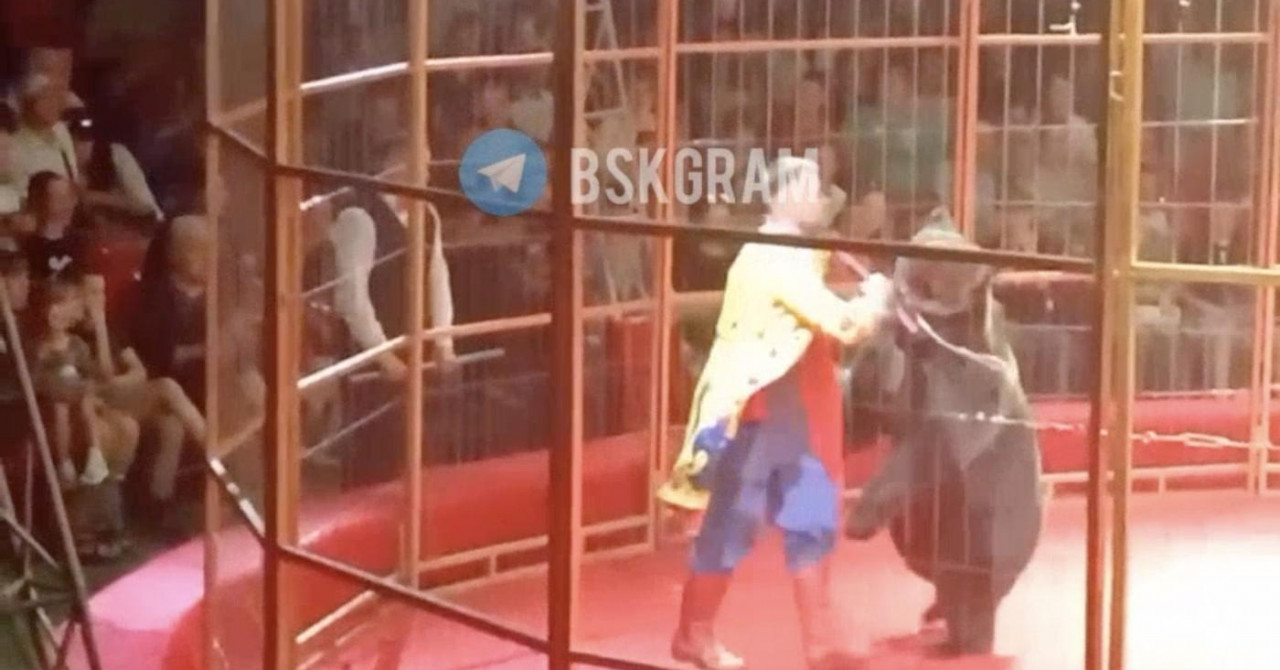 Jutarnji list - Snimljen trenutak bijesa: Medvjed se u ruskom cirkusu oteo kontroli ...