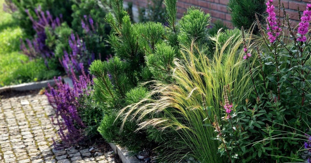 Dom i dizajn - Nemojte još odložiti svoj vrtni alat! Najbolje trajnice ...