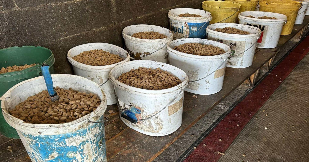 Jutarnji list - Iz najvećeg domaćeg azila imaju molbu, treba im nešto ...