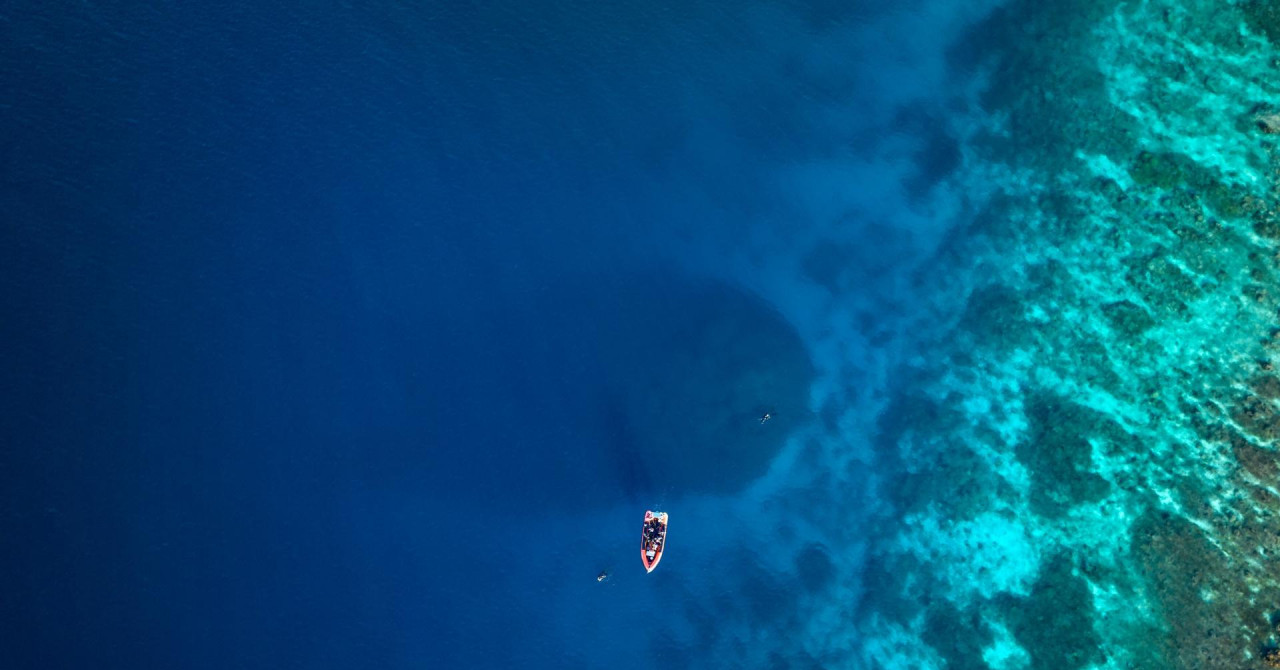 Jutarnji list - Znanstvenici u oceanu otkrili 'kolosalno morsko stvorenje' staro 300 godina ...