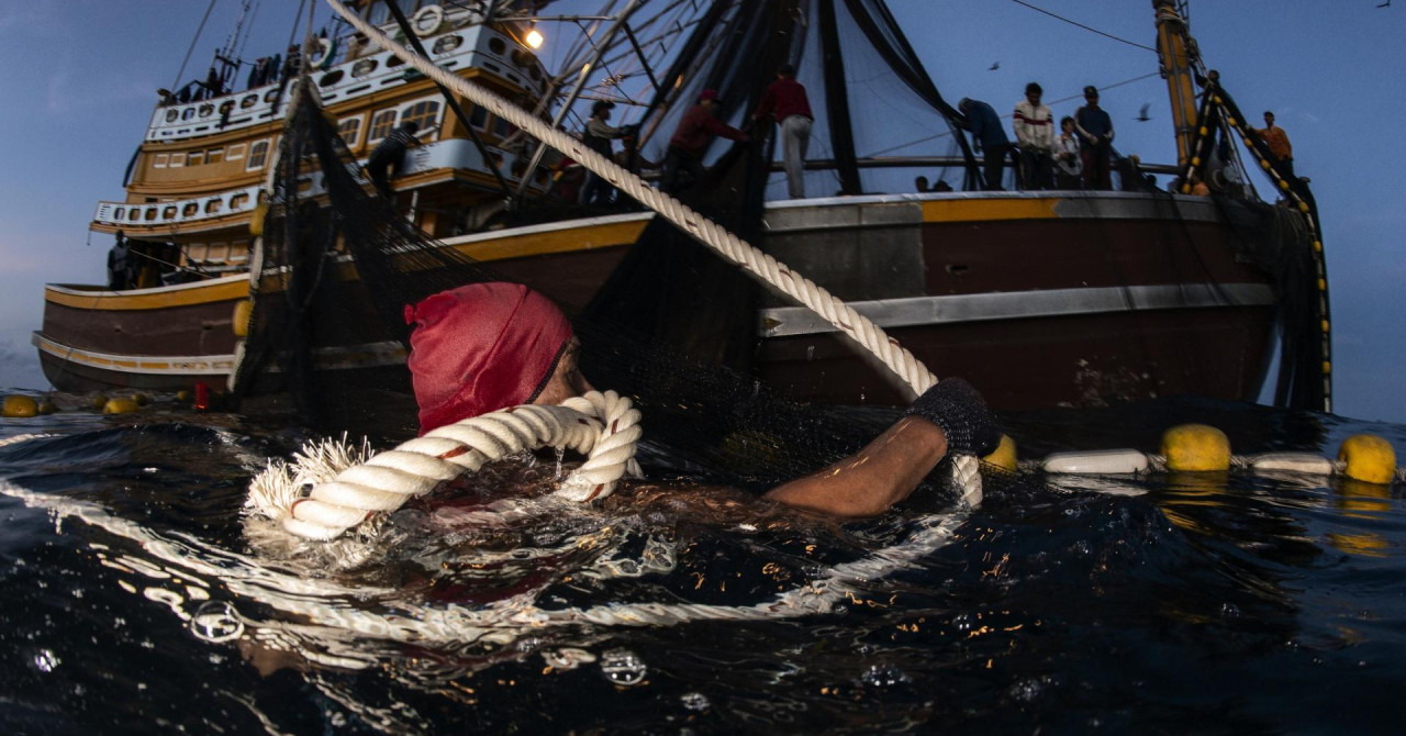 Jutarnji list - Ovih je dana uhvaćena u morima Tajlanda, zbunjeni ...