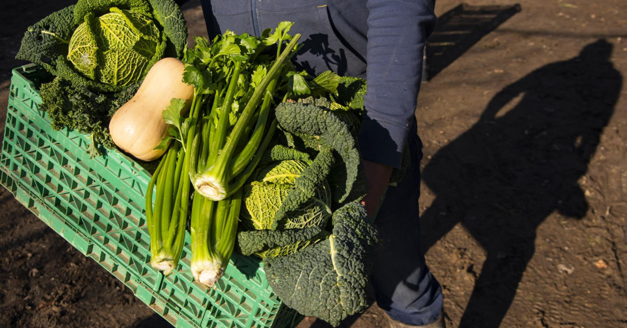 Jutarnji list - Proračun za obranu ne smije ugroziti proizvodnju hrane ...