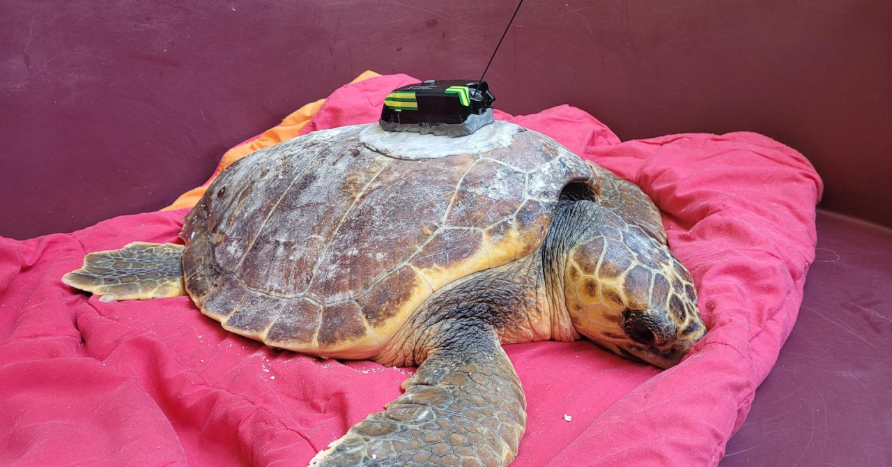 Jutarnji list - Zaposlenici Instituta studentima pokazali kako se postavljaju uređaji na ...