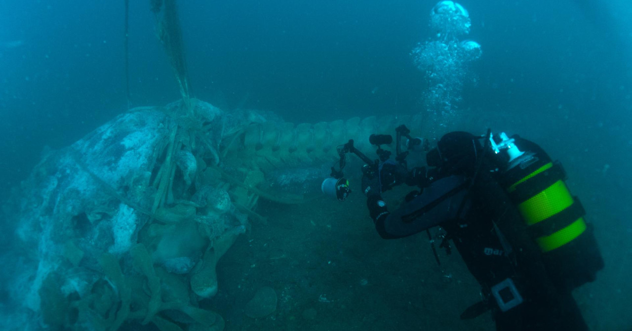 Jutarnji list - Talijani objavili fotografije iz podmorja kraj Trsta ...